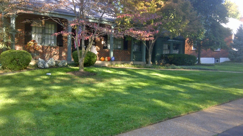 Landscape Transformations | Lawn Edging | Clayton MO